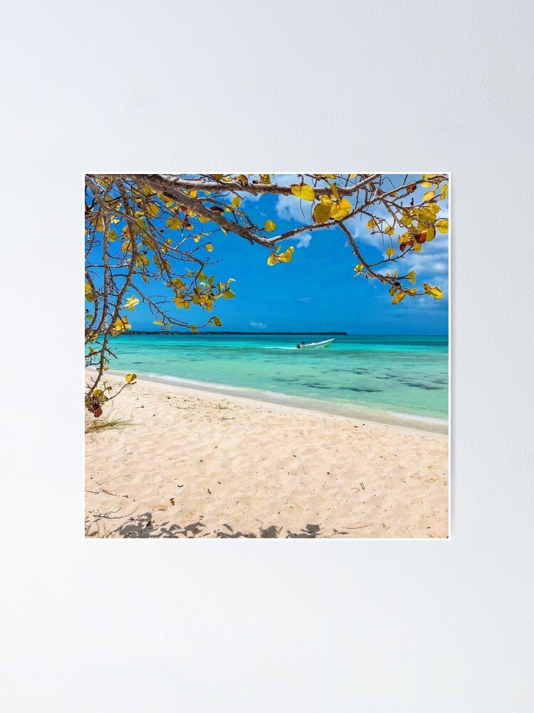 "Crystal Blue Waters Sticker" Poster for Sale by ANNA1ADAMS | Redbubble