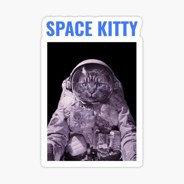 "Cute and Funny Space Kitty Tee" Sticker for Sale by haydenhancock18 ...