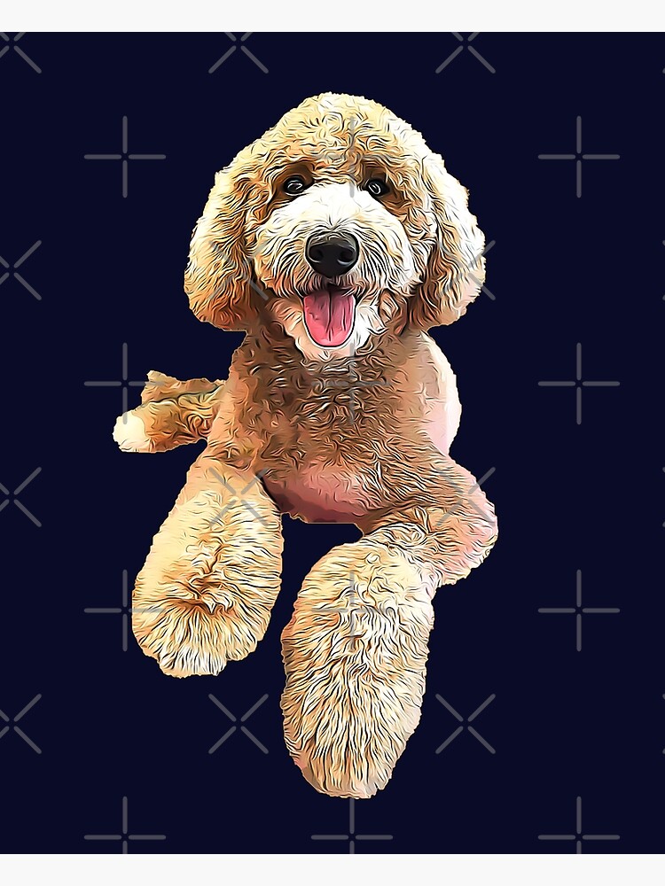 "Labradoodle Cute Cartoon Dog" Poster for Sale by Elarex | Redbubble