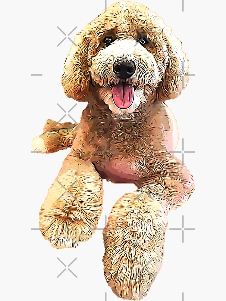 "Labradoodle Cute Cartoon Dog" Sticker for Sale by Elarex | Redbubble