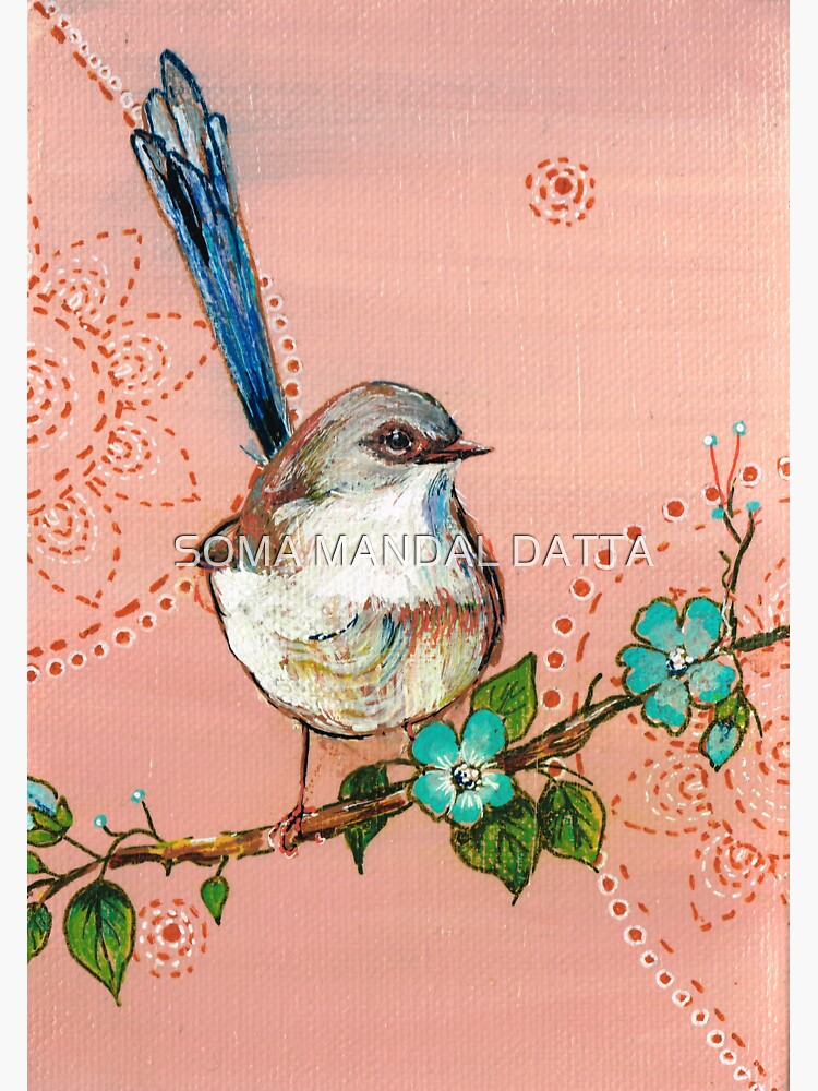 "Fairy Wren " Sticker for Sale by studiotr360 | Redbubble