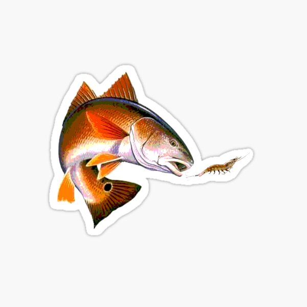 Redfish Stickers | Redbubble