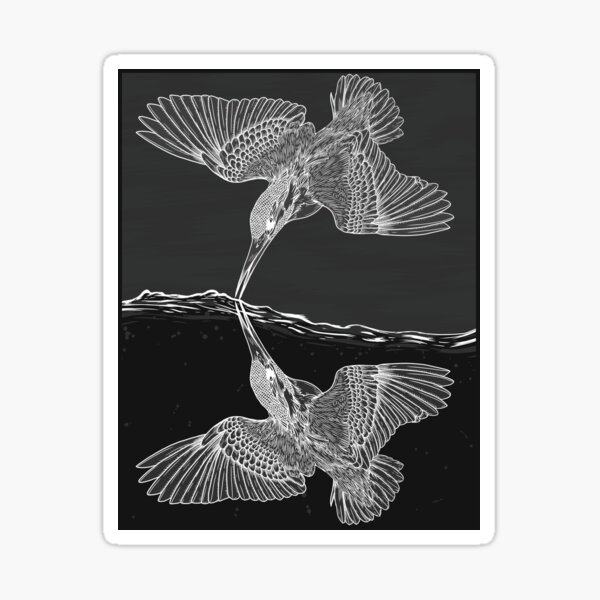 "Kingfisher" Sticker for Sale by gloriaaitken | Redbubble