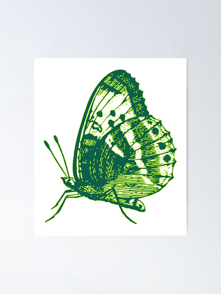 "Green butterfly" Poster by A4us | Redbubble
