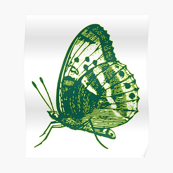"Green butterfly" Poster by A4us | Redbubble