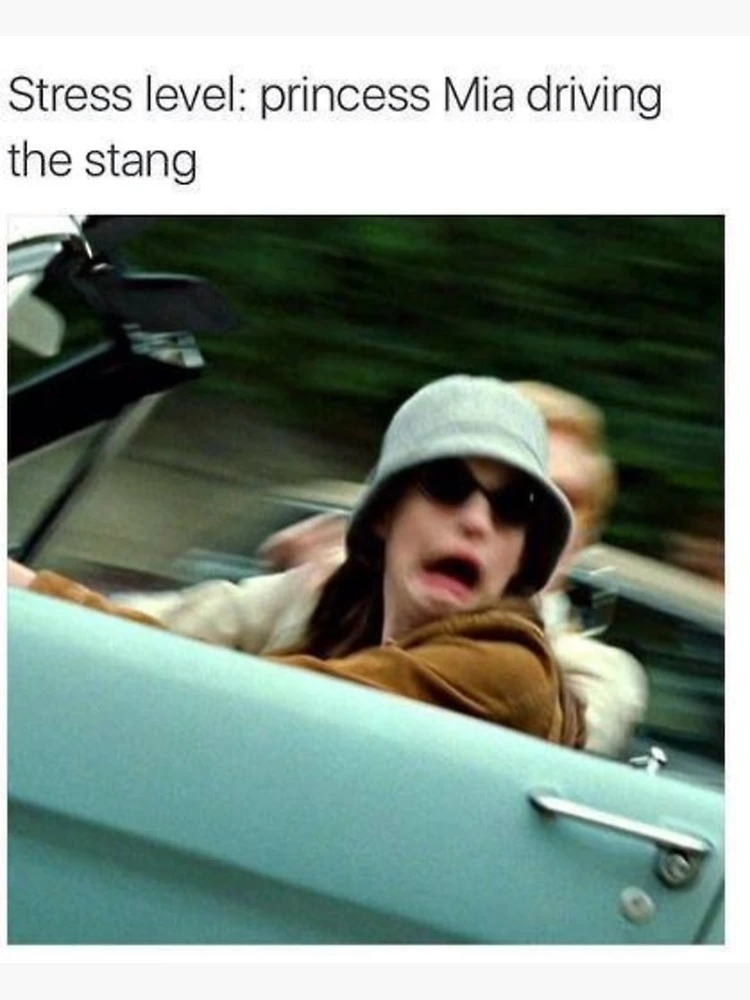 Current Stress Level Memes