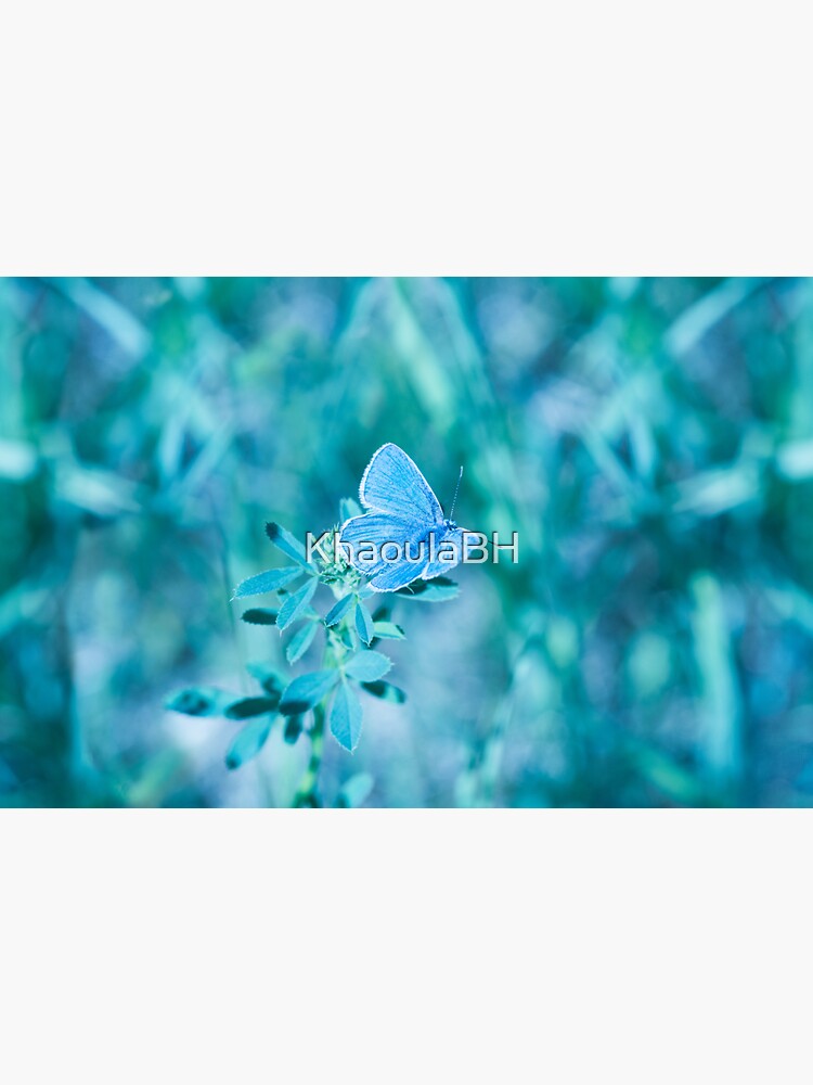 "Umi Butterfly " Sticker for Sale by KhaoulaBH | Redbubble