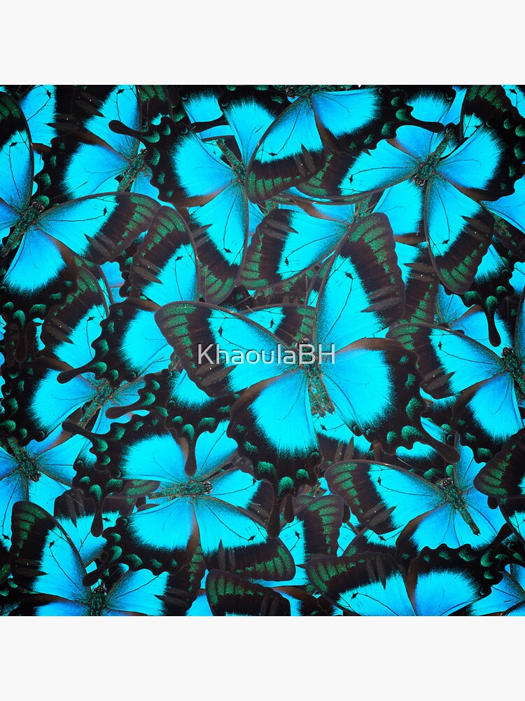 "Umi Butterfly" Sticker by KhaoulaBH | Redbubble