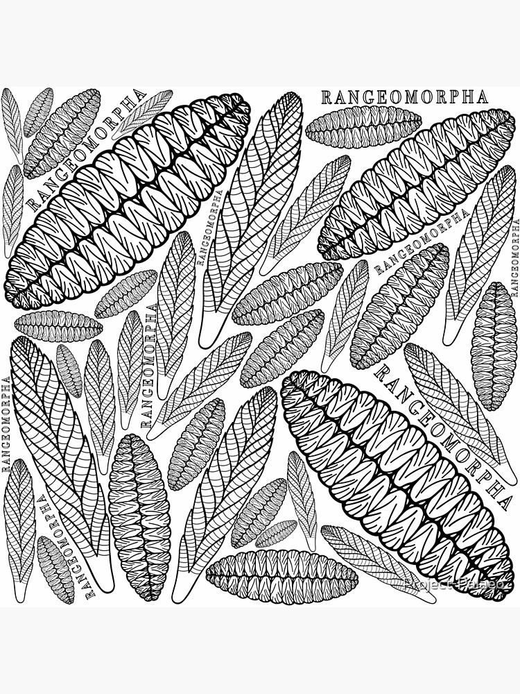 Póster «Fósiles de Rangeomorpha Ediacaran en blanco y negro» de Project ...