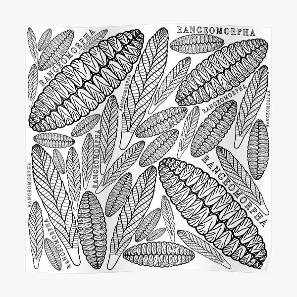 Póster «Fósiles de Rangeomorpha Ediacaran en blanco y negro» de Project ...