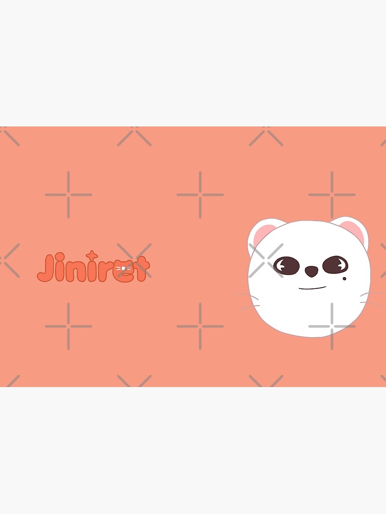 " Stray kids - skzoo Jiniret" Poster for Sale by LilMissRandom17 ...