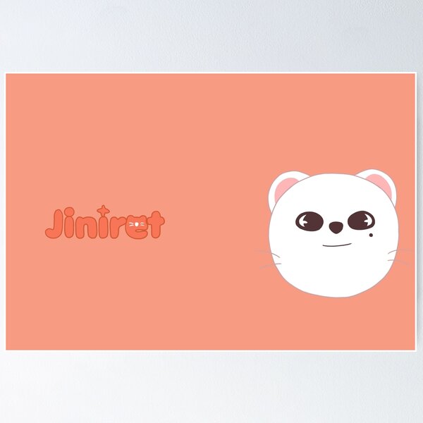 " Stray kids - skzoo Jiniret" Poster for Sale by LilMissRandom17 ...