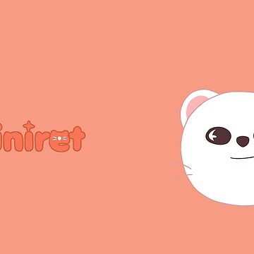 " Stray kids - skzoo Jiniret" Poster for Sale by LilMissRandom17 ...