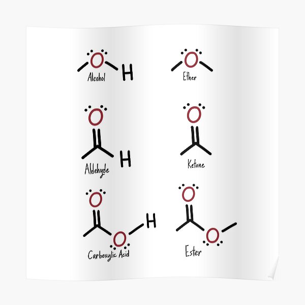 "Organic Chemistry Functional Groups" Poster by reina-15 | Redbubble