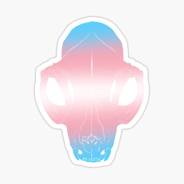"Trans Feline - Pride Skulls" Sticker for Sale by Sleepy-studio | Redbubble