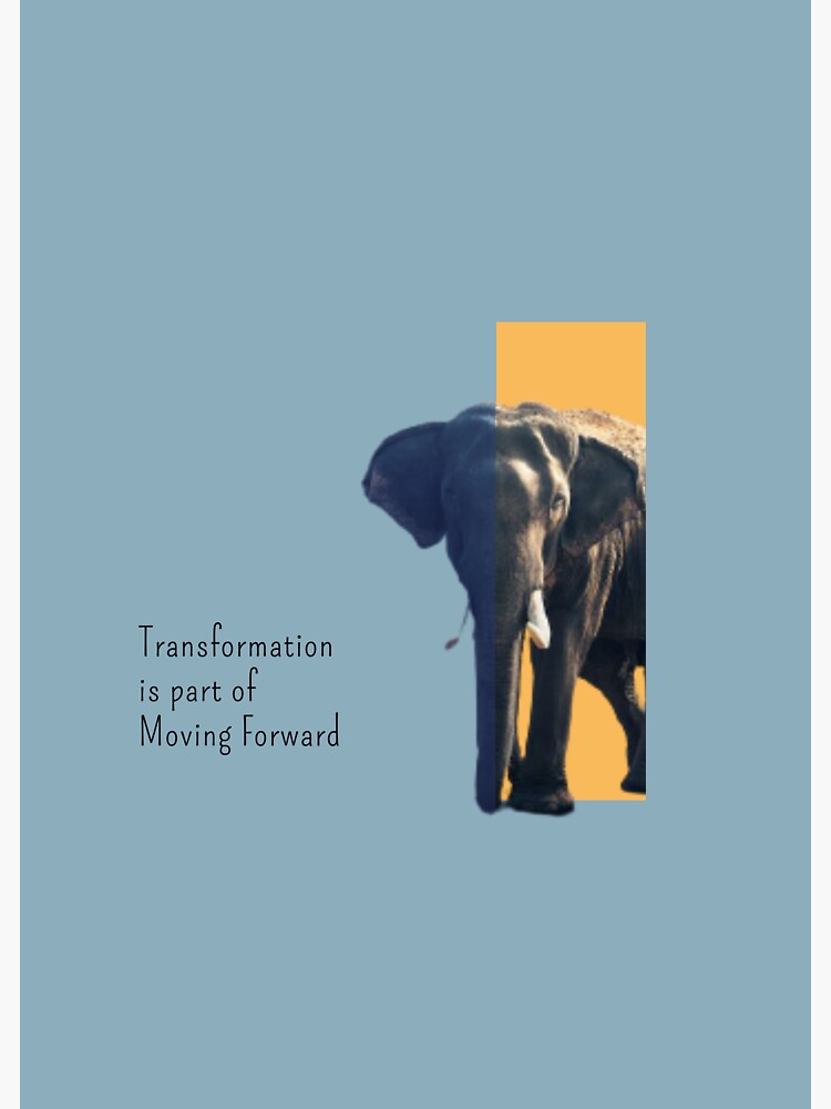 "Transformation" Sticker for Sale by Apsak | Redbubble