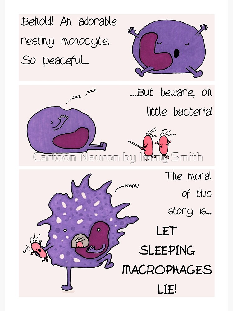 Macrophage Memes