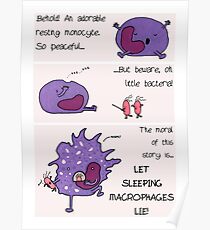 Blood Cell Posters | Redbubble