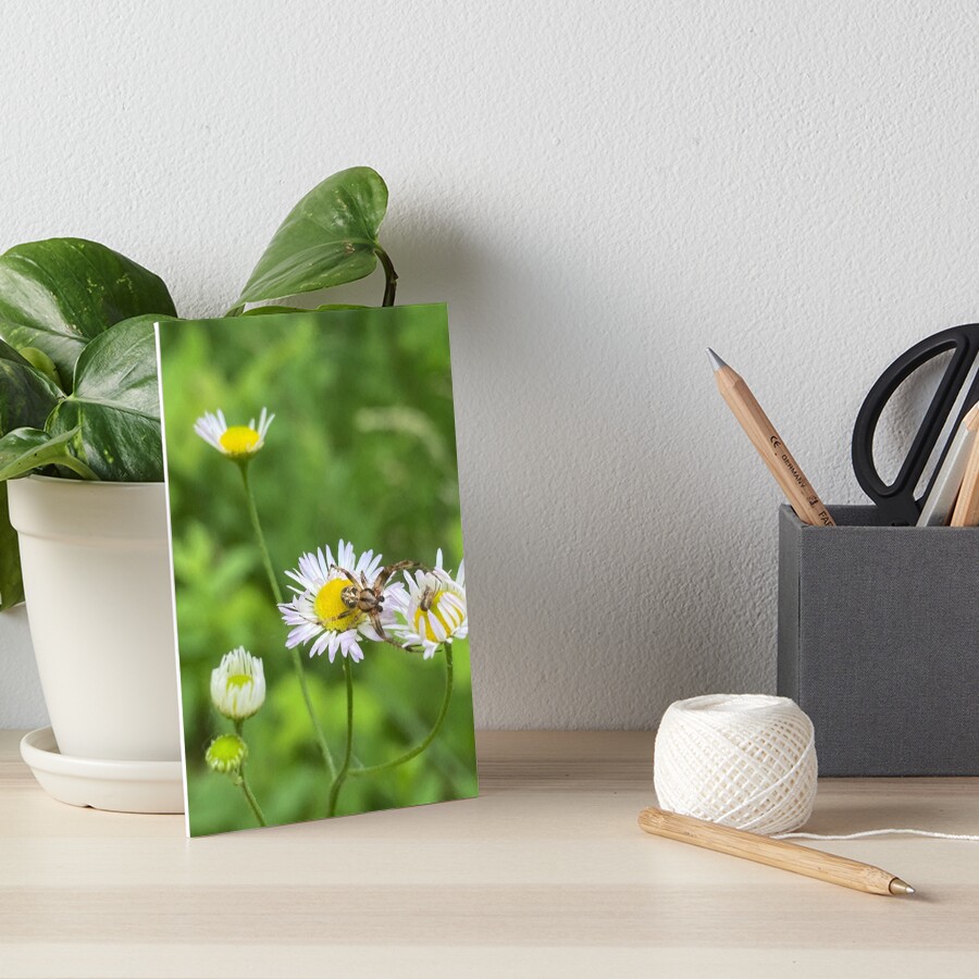 "Daisy Spiders" Art Board Print for Sale by BunnyView | Redbubble