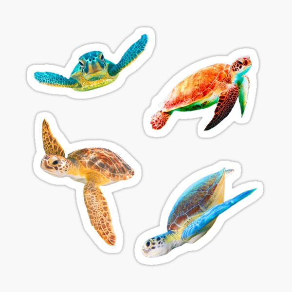 "Vibrant Sea Turtles Pack" Sticker by channel13 | Redbubble