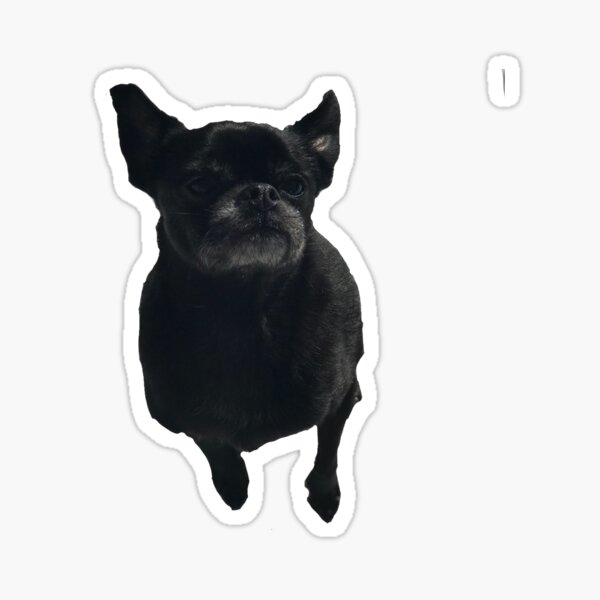 Quavo Merch & Gifts for Sale | Redbubble