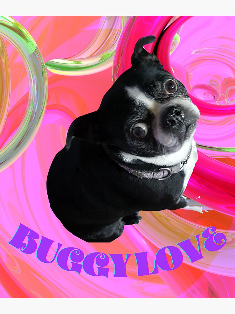 Pegatina «Buggy Love Artistic Homenaje a mi mejor amigo Bug, Bugsy» de ...