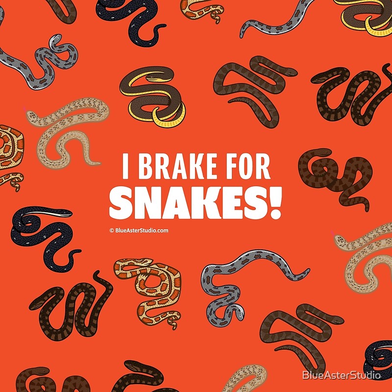 "I Brake For Snakes" by BlueAsterStudio | Redbubble