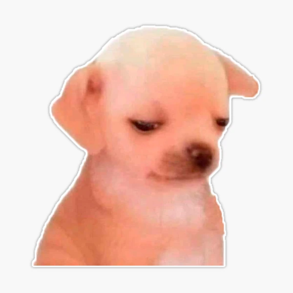 Perro Deprimido Memes Pegatinas: Triste Perro Meme | Redbubble