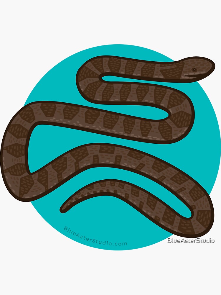 "Common Water Snake" Sticker by BlueAsterStudio | Redbubble