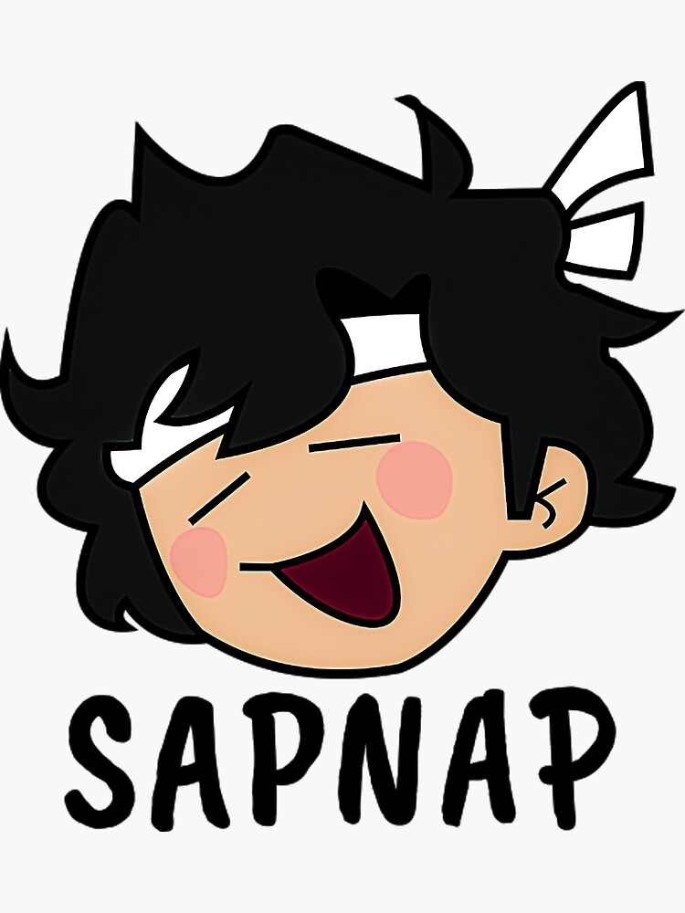 "Sapnap Gaming" Sticker by loki1368 | Redbubble