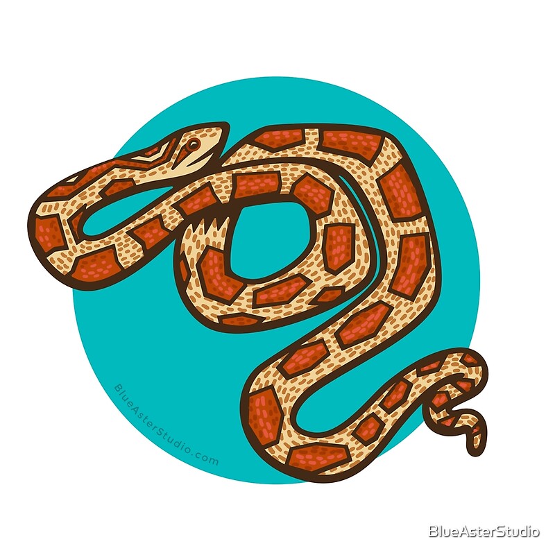 "Corn Snake" by BlueAsterStudio | Redbubble