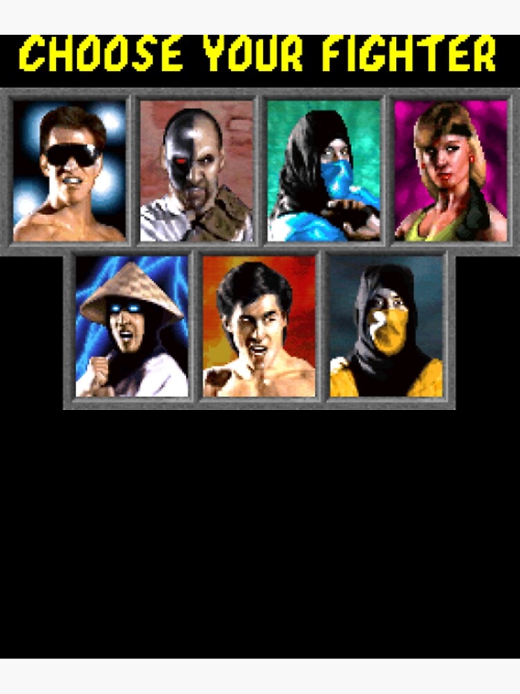 "Choose Your Fighter T-Shirt.png" Poster for Sale by Mackenzzzz | Redbubble