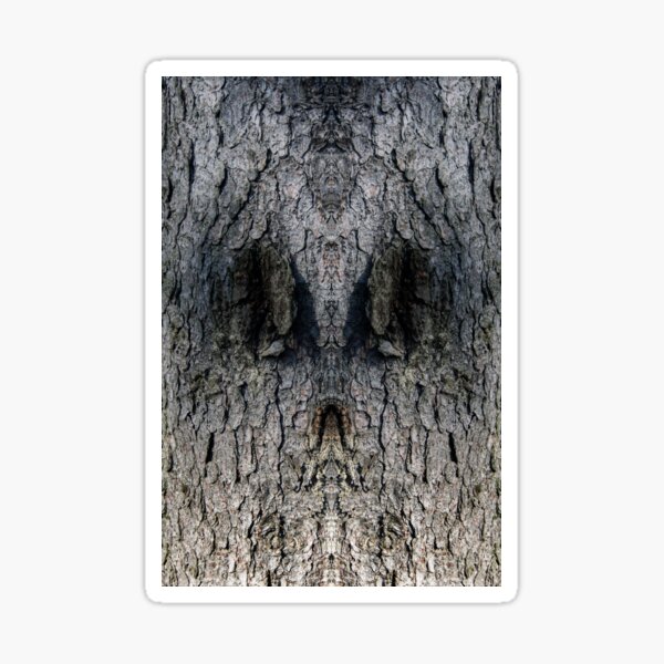 "Tree face, 2." Sticker for Sale by Lavender-Ash | Redbubble