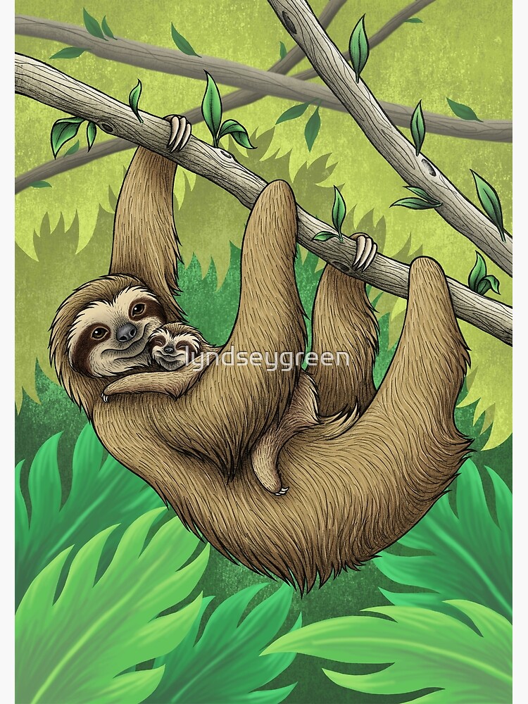 "Three-Toed Sloths" Poster for Sale by Lyndsey Keppel-Green | Redbubble