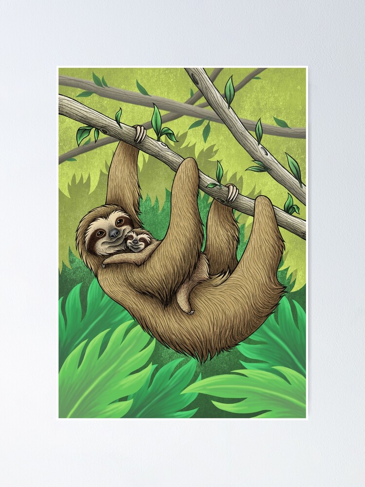 "Three-Toed Sloths" Poster for Sale by Lyndsey Keppel-Green | Redbubble