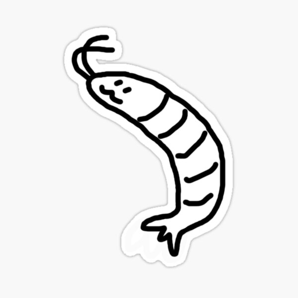 "Cute Shrimp" Sticker for Sale by SONStudio0901 | Redbubble