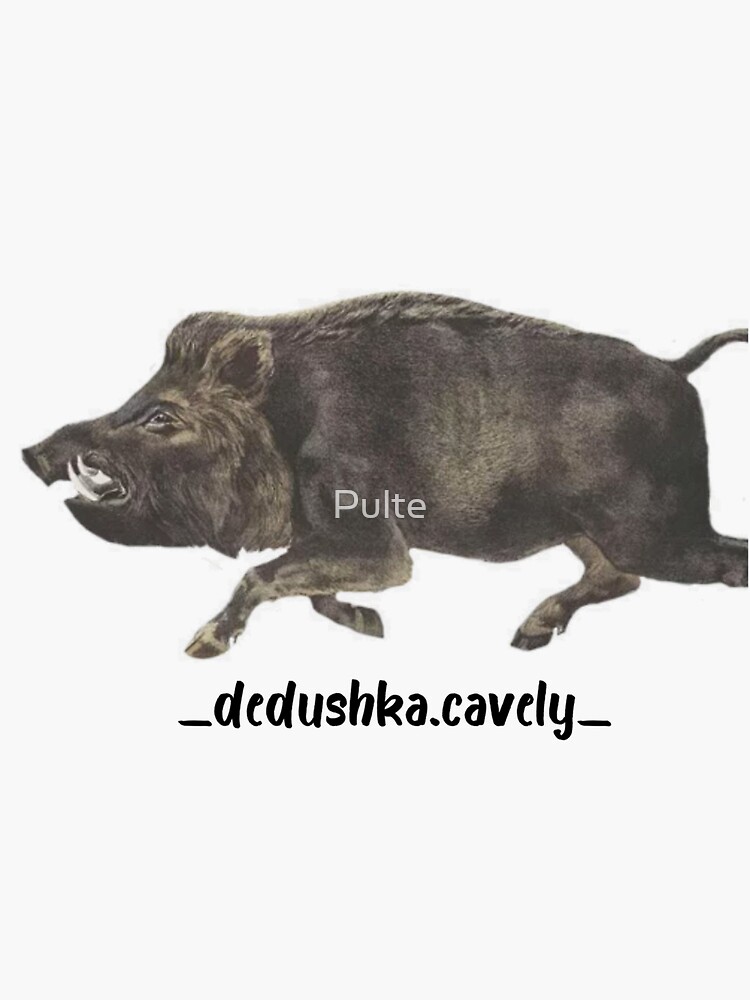 "meme boar" Sticker for Sale by Pulte | Redbubble