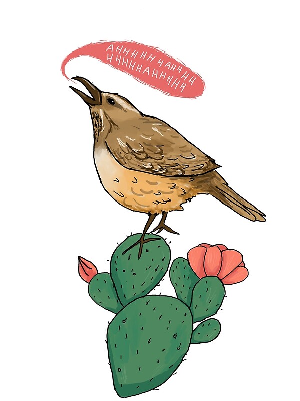 "Screaming Cactus Wren" by spaceguad | Redbubble
