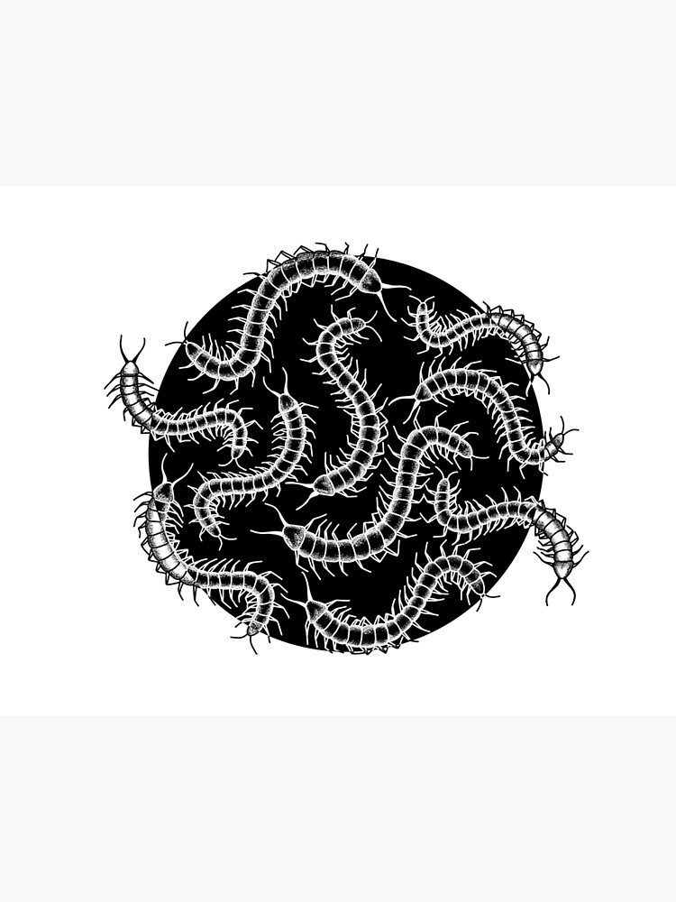 "Centipedes" Poster by miltonimo | Redbubble