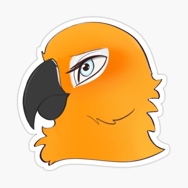 Sun Conure Gifts & Merchandise | Redbubble
