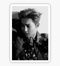 Exo: Stickers | Redbubble