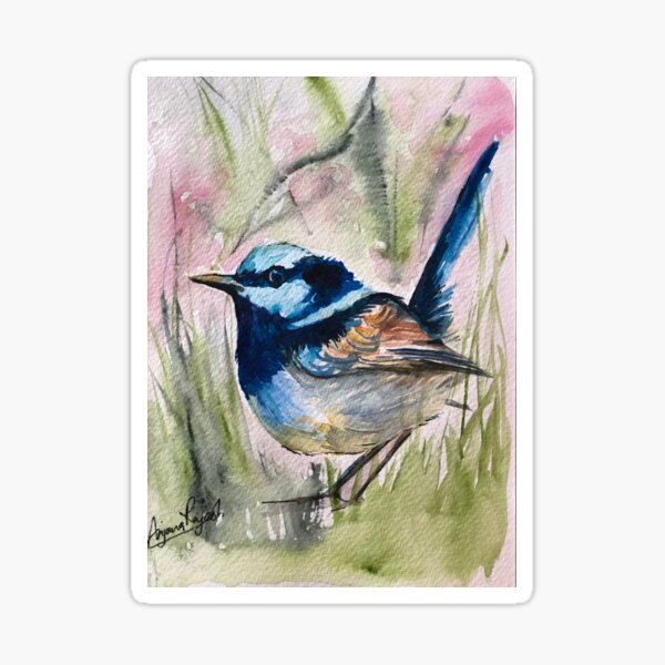 "Fairy Wren" Sticker for Sale by AnjuPaintings | Redbubble