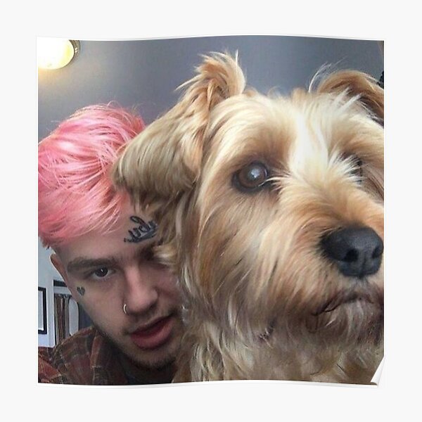 "Lil Peep and his Dog "Taz"" Poster for Sale by Tumfei | Redbubble