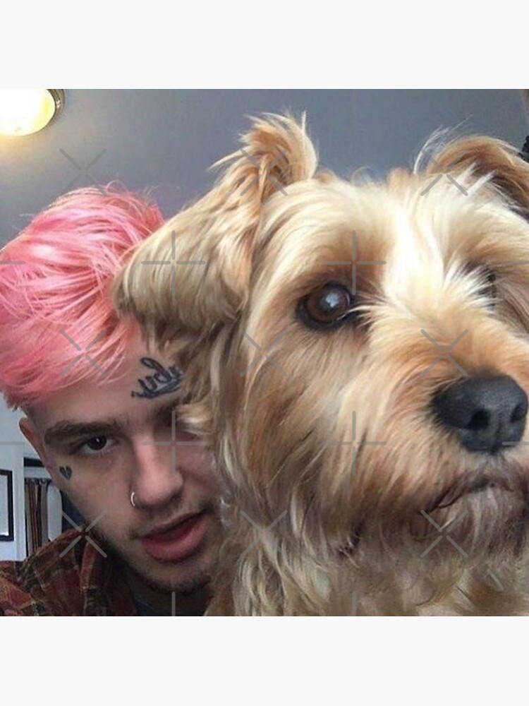 "Lil Peep and his Dog "Taz"" Sticker for Sale by Tumfei | Redbubble