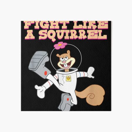"Mademark Spongebob Squarepants Sandy Cheeks Fight Like A Squirrel Gift ...