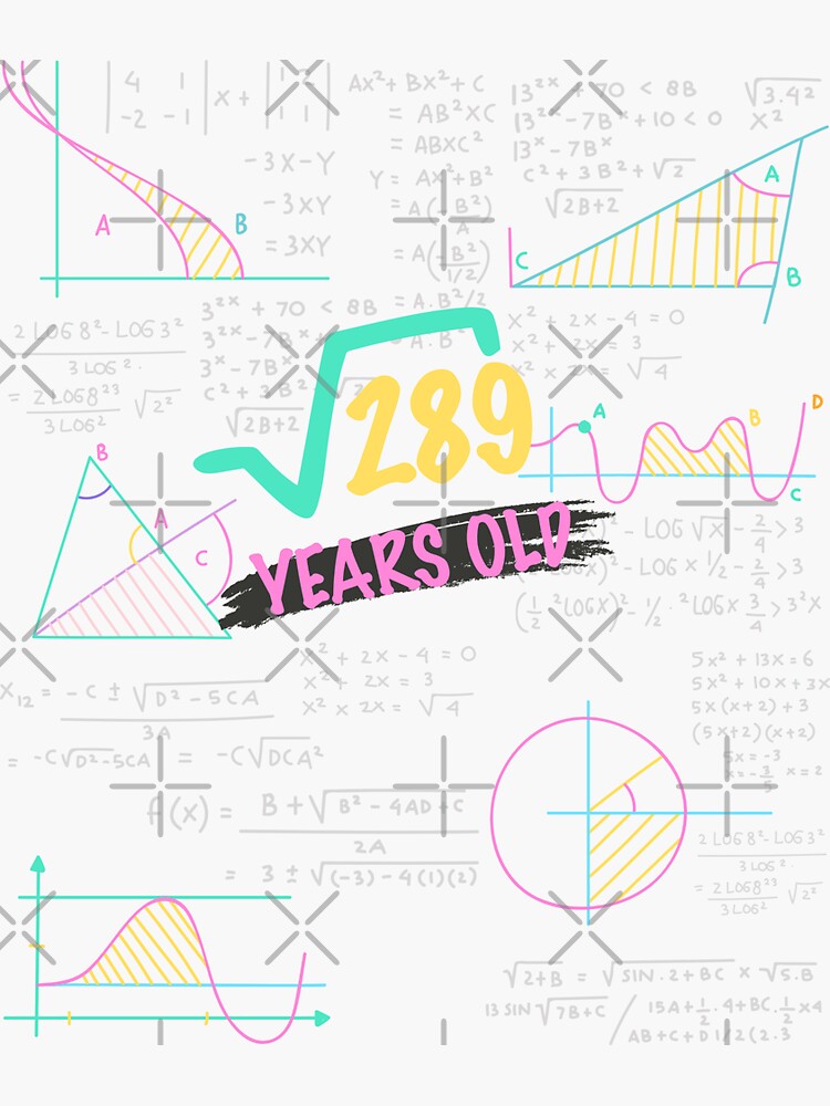 "Square Root of 289: 17th Birthday 17 Years Old Teen Boy Girl " Sticker ...