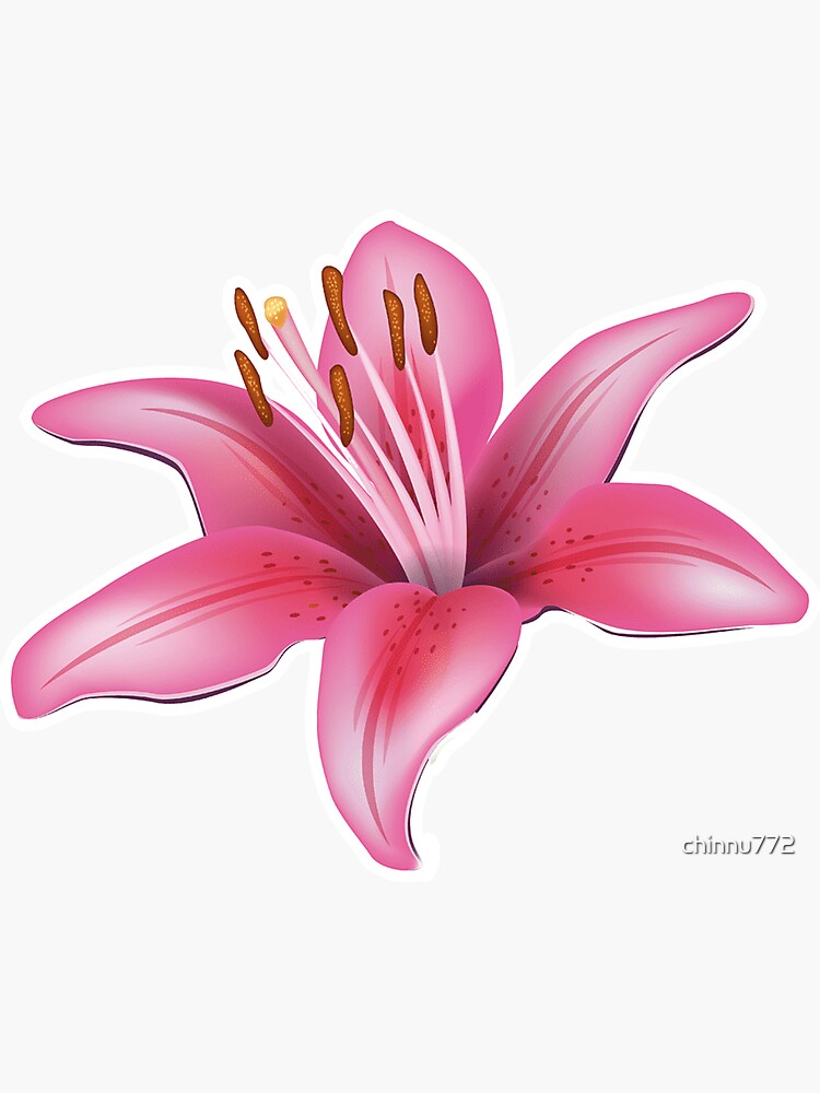 "tiger lily" Sticker for Sale by chinnu772 | Redbubble