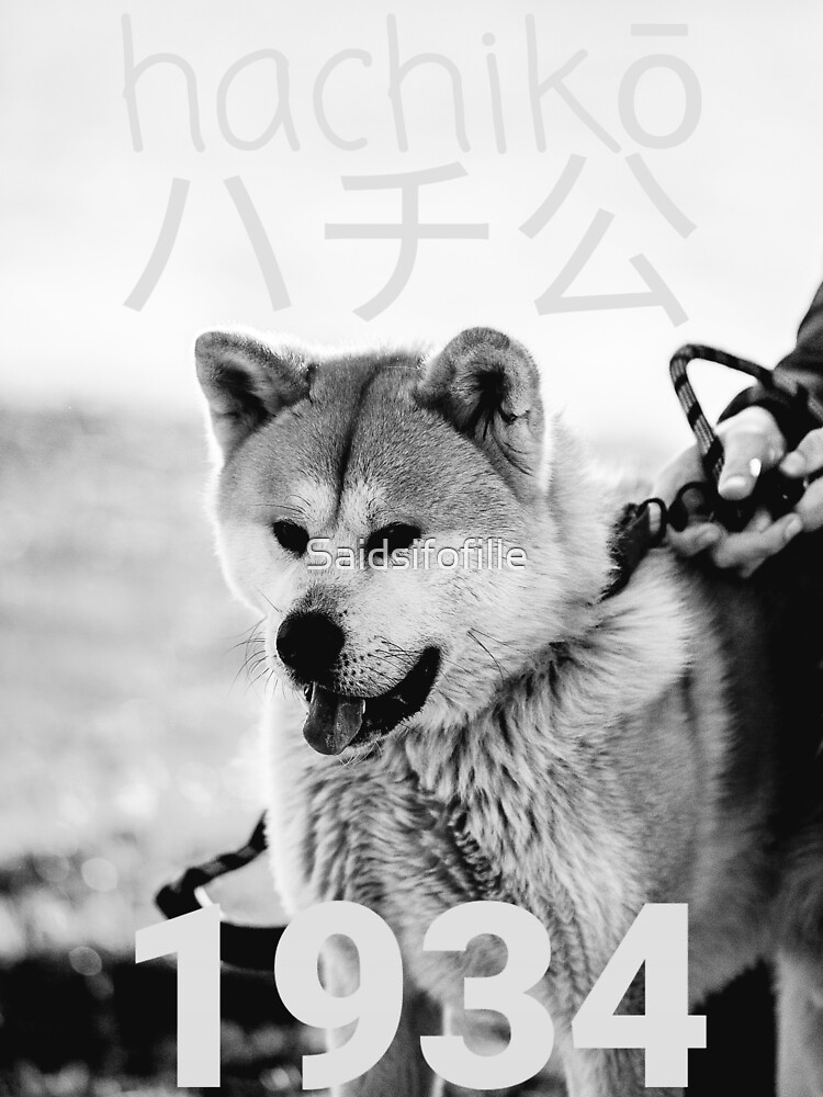"Hachiko dog 1934 " Sticker by Saidsifofille | Redbubble