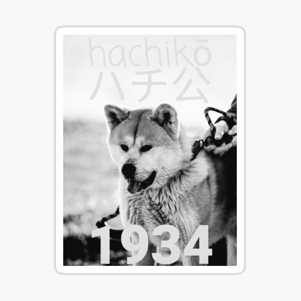 "Hachiko dog 1934 " Sticker by Saidsifofille | Redbubble
