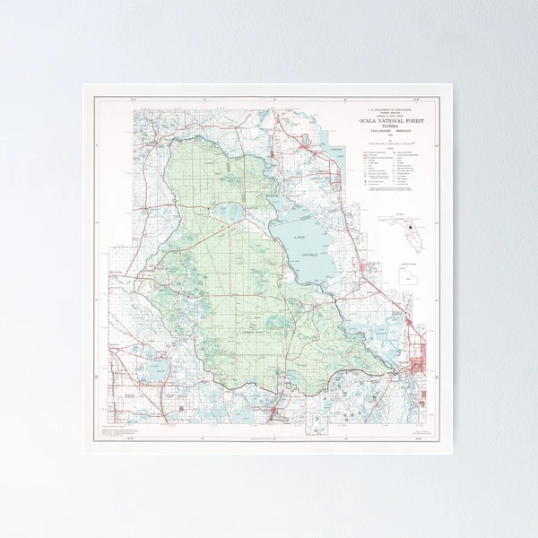 Ocala National Park Map Best Trails In Ocala National Forest Florida
